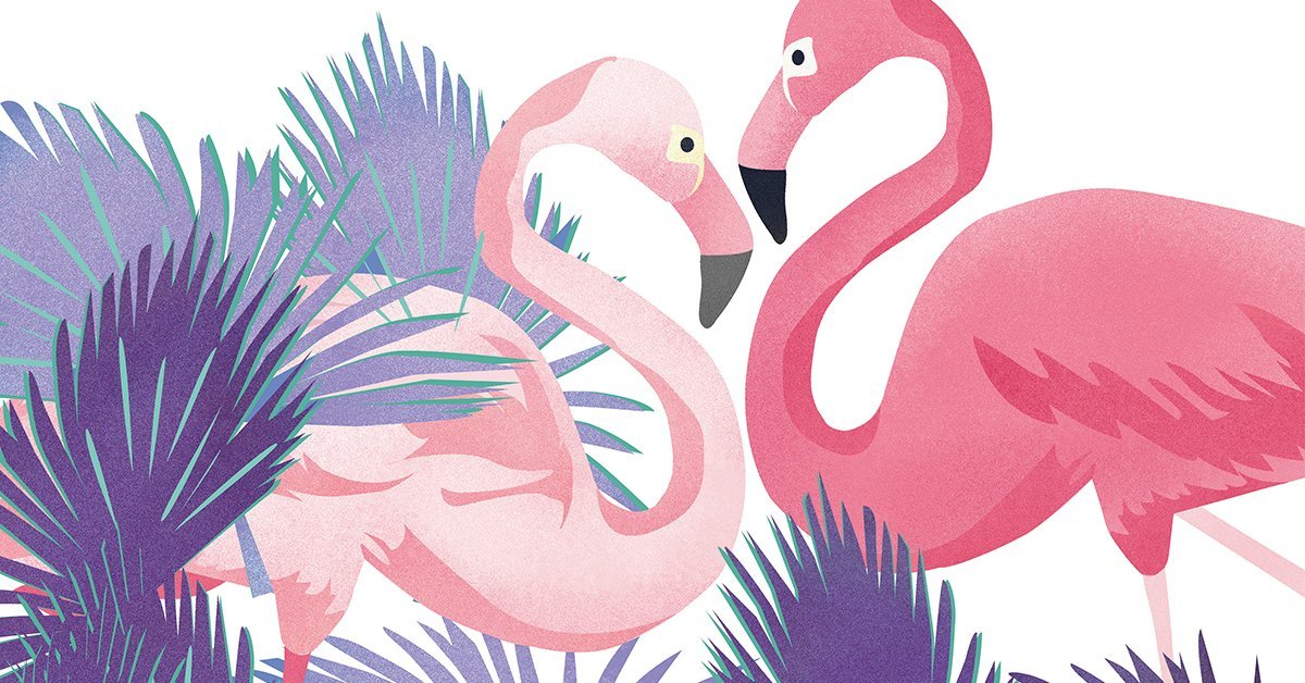 New kids books illustrated by Abi Fraser